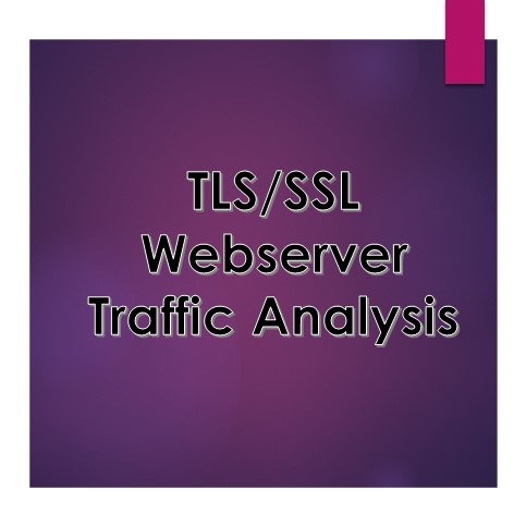TLS/SSL Web server Traffic Analysis - Network Bachelor